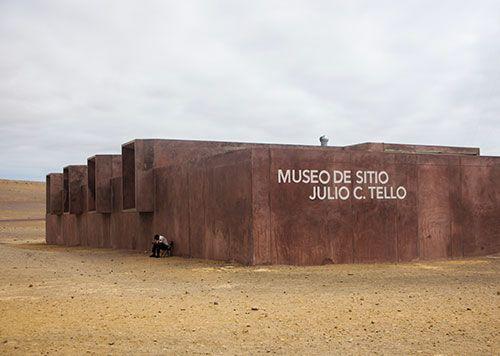 Paracas: Complete Travel Guide | Peru For Less