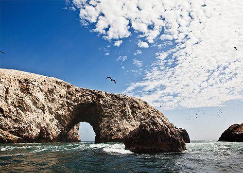 Paracas: Complete Travel Guide | Peru For Less
