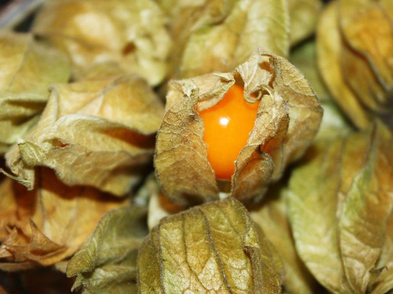 What is Quinoa? A Guide to the Peruvian Superfood - Peru For Less