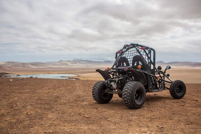 Paracas National Reserve: Complete Travel Guide