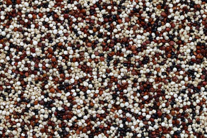 What is Quinoa? A Guide to the Peruvian Superfood - Peru For Less