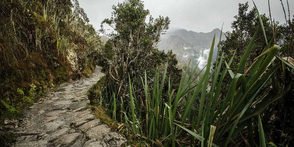 Inca Trail Map: Trekking to Machu Picchu